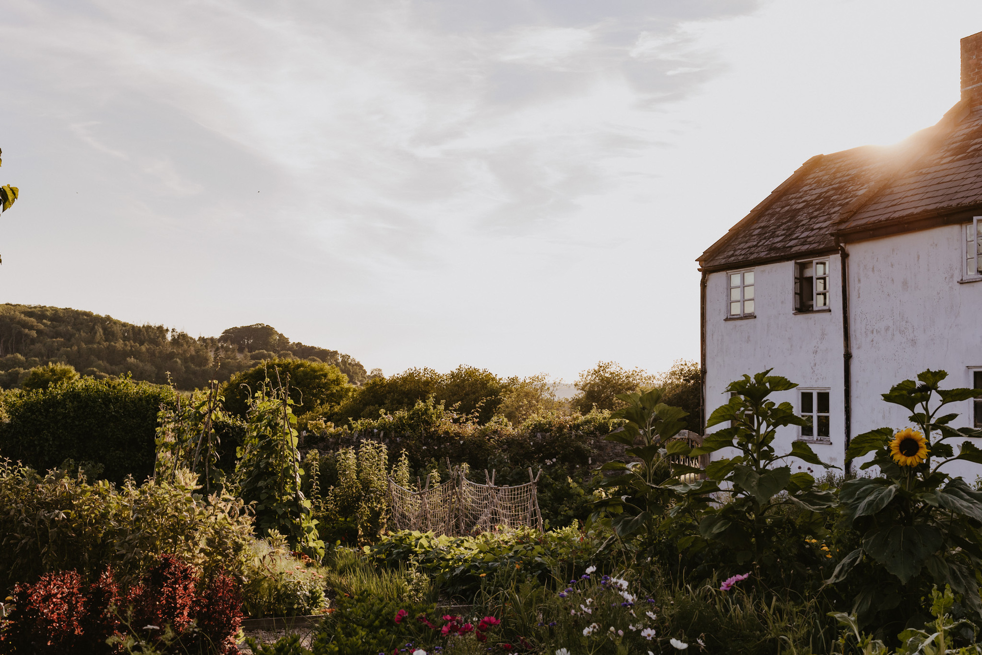 River Cottage